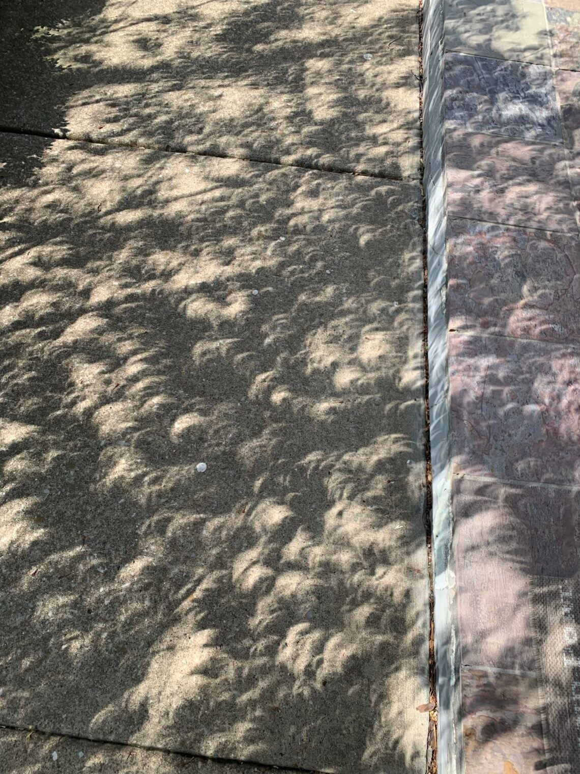 Henderson photographs the eclipse - The Hendersonian