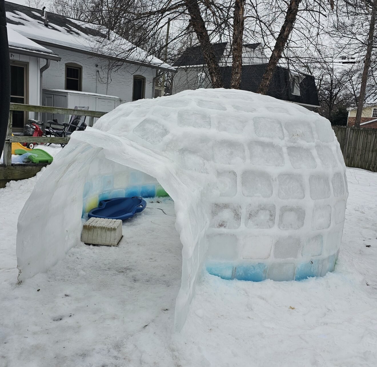 Henderson woman builds giant igloo in her backyard - The Hendersonian